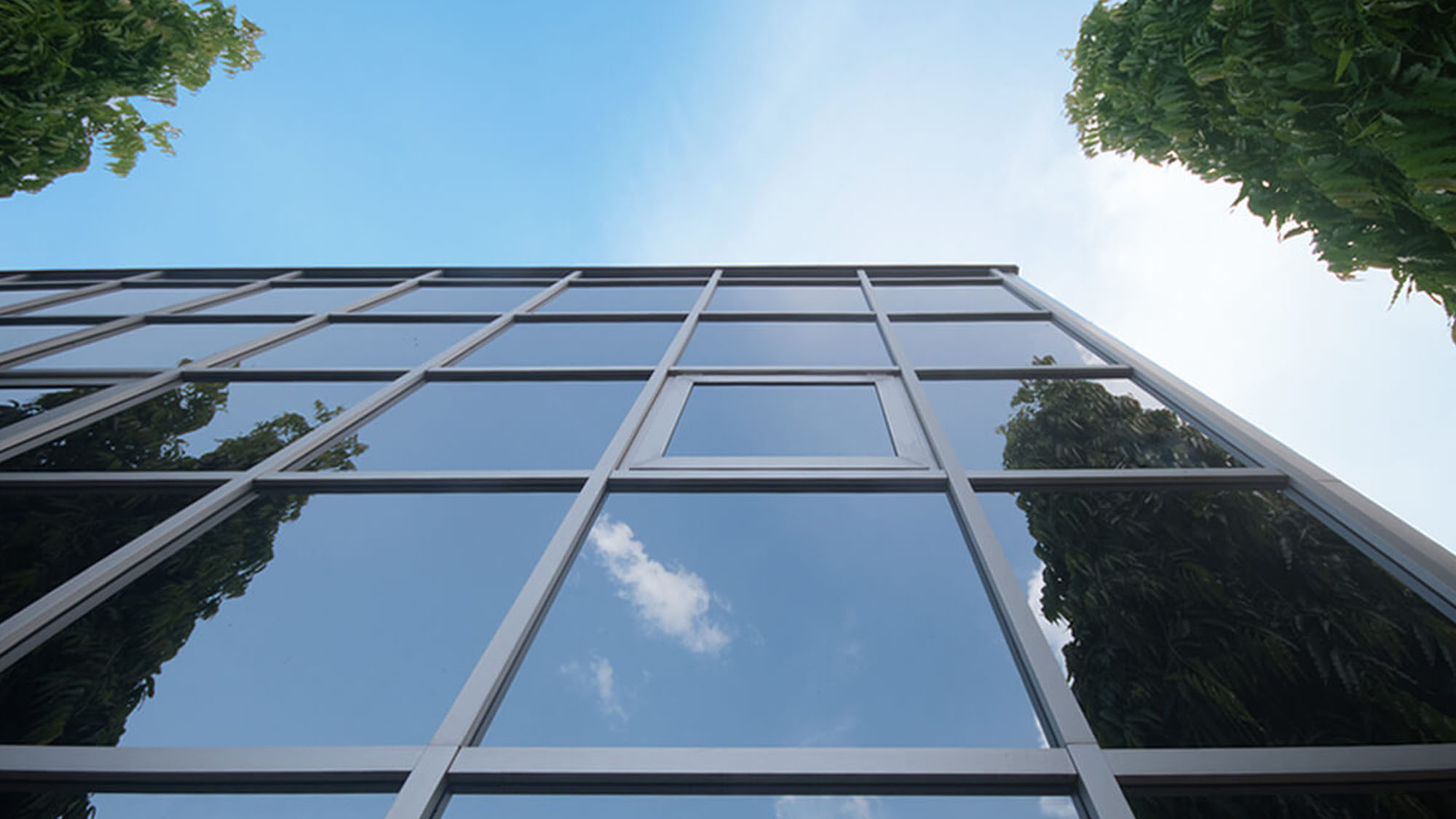 Glass & Aluminium Curtain Wall Installation Services in London